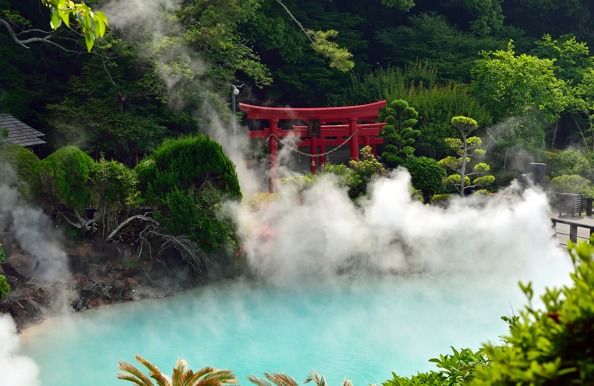 Studeren in Beppu, Japan | KILROY
